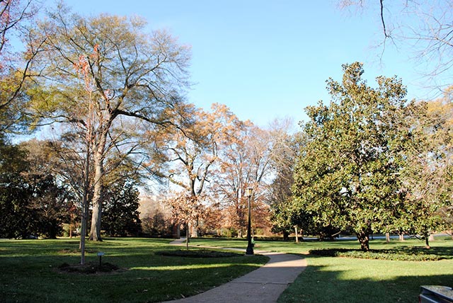 Tree Walk Story Map | Agnes Scott College