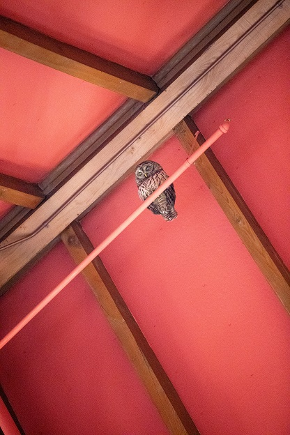 Campus Tour Story Map | Agnes Scott College